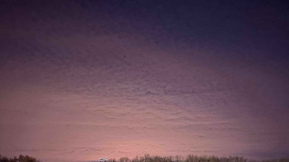 Harvest Woods fields | Little Locals